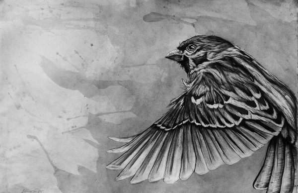 Alexander Landerman Interview - 50 States (Wisconsin) - Creative Chair